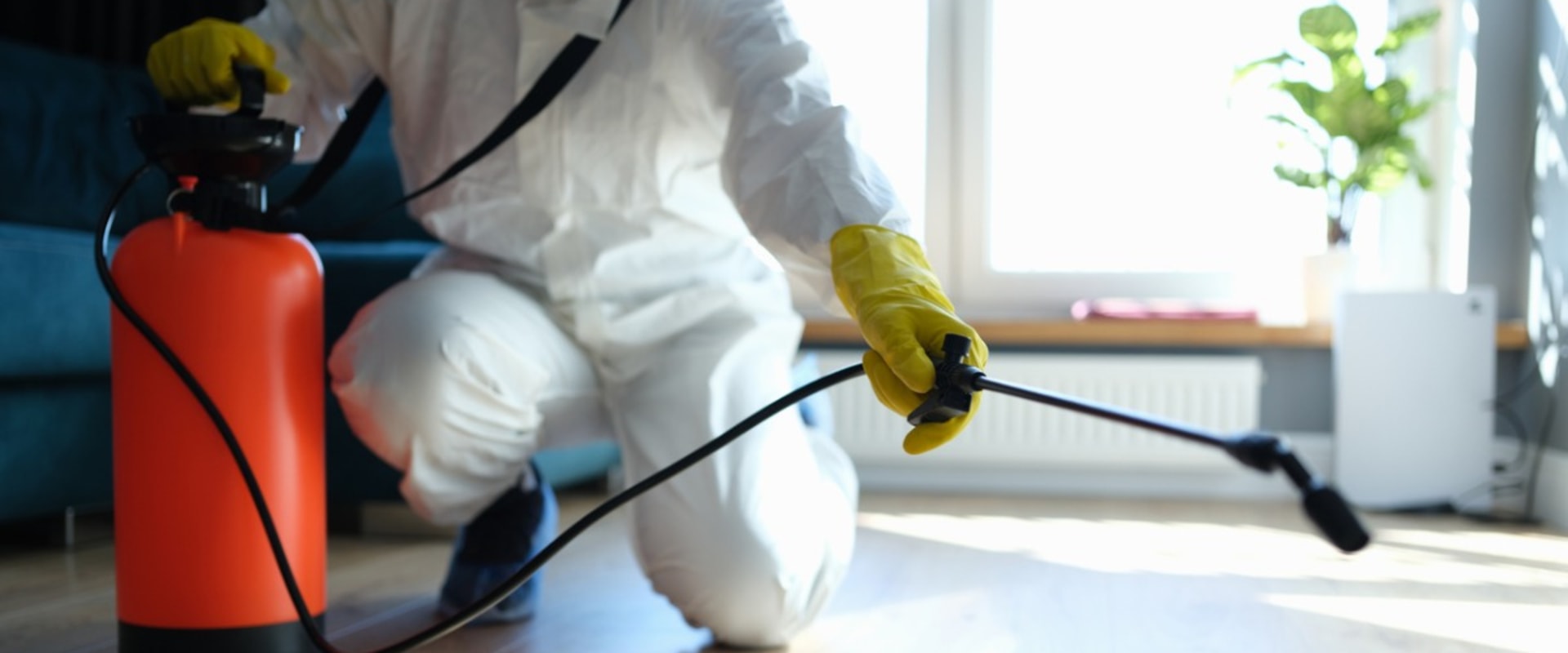 3 Effective Methods of Pest Control
