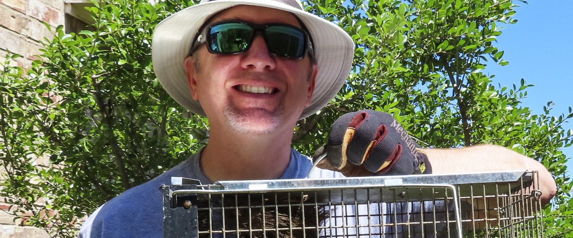 Squirrel Removal Services In Rocklin, CA: Why DIY Pest Control Isn’t Enough